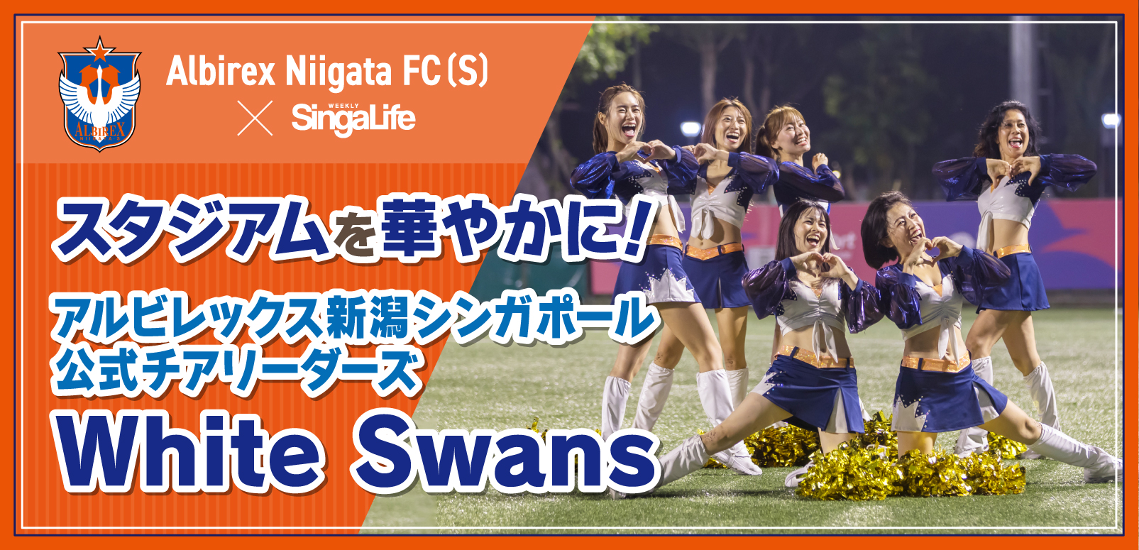 スタジアムを華やかに！アルビレックス新潟シンガポール公式チアリーダーズWhite Swans -Vol.8- | SingaLife | 在シンガポール日本人向けのフリーマガジン。グルメ ...